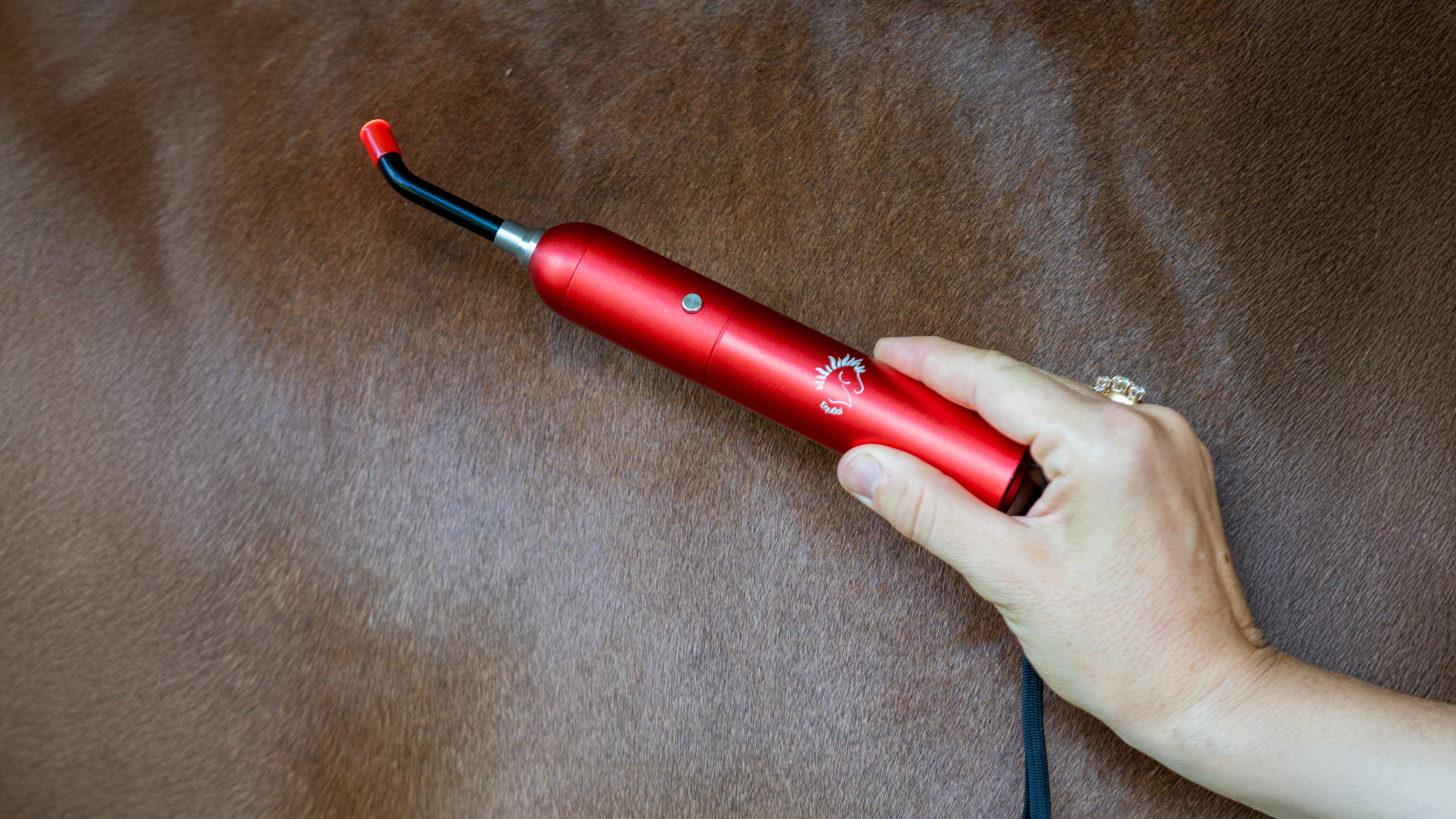 AnimaSol Therapeutic Red Light for Horses, Dogs, Cats & Pets | EquiSol